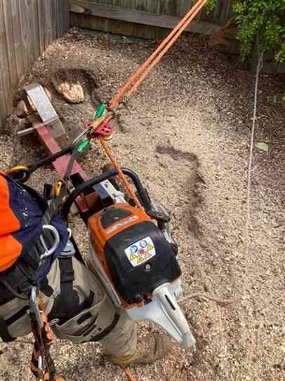 Stump Grinding Sunshine Coast - Stumpworks Qld