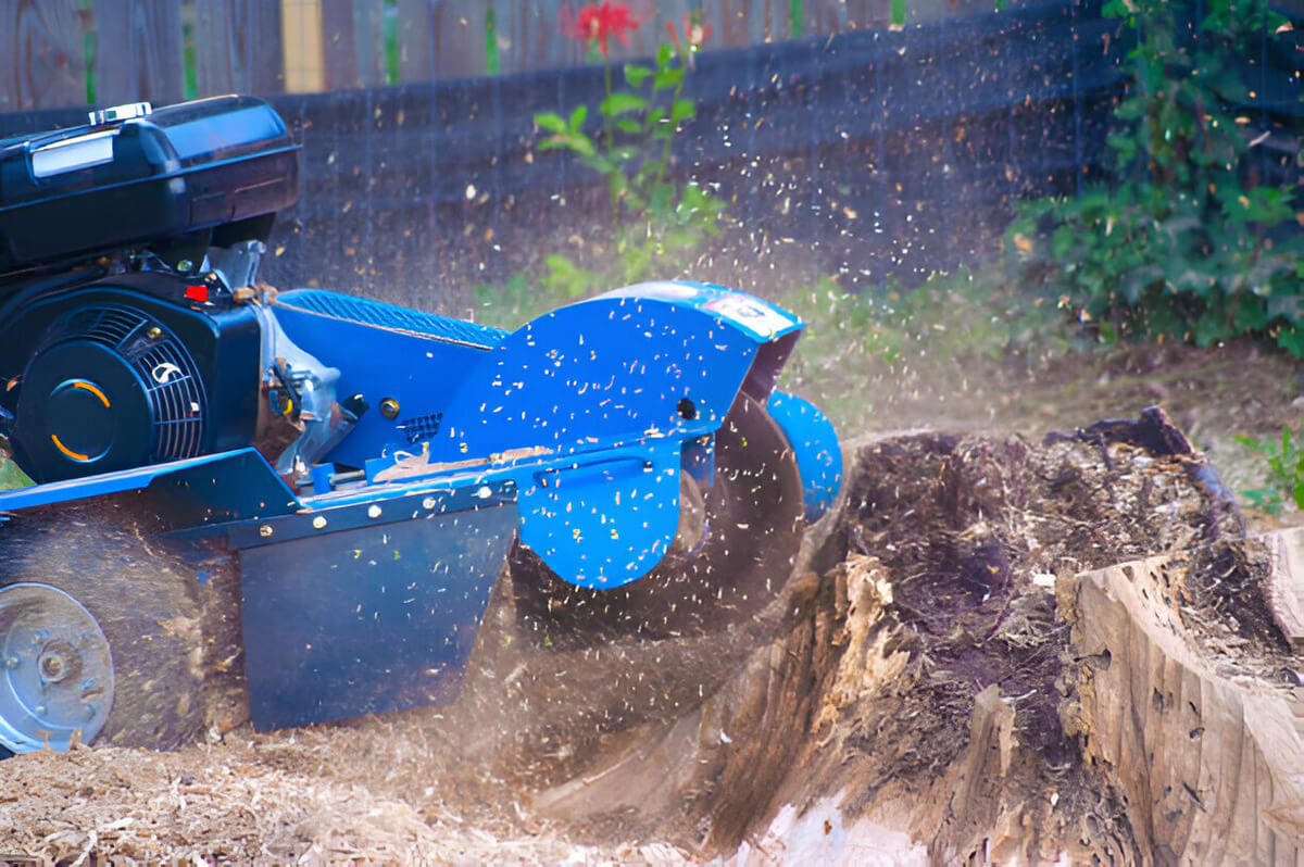 Tree Stump Grinding and Removal Explained